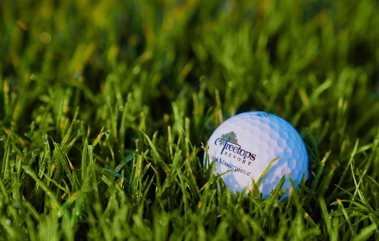 How Does Golf Scoring Work? A Simple Guide For Beginners