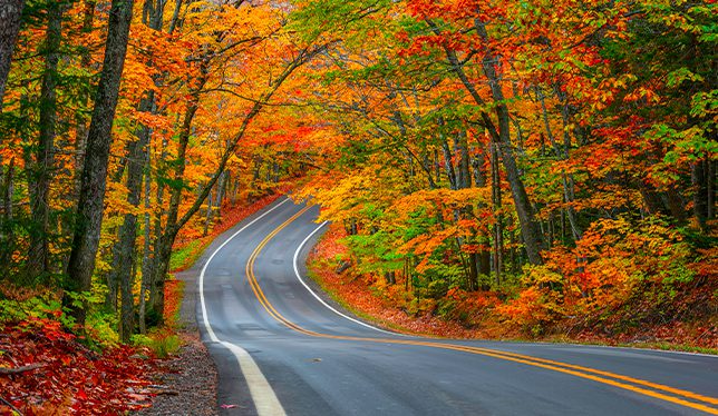 Gaylord MI Attractions | Area Attractions Northern Michigan